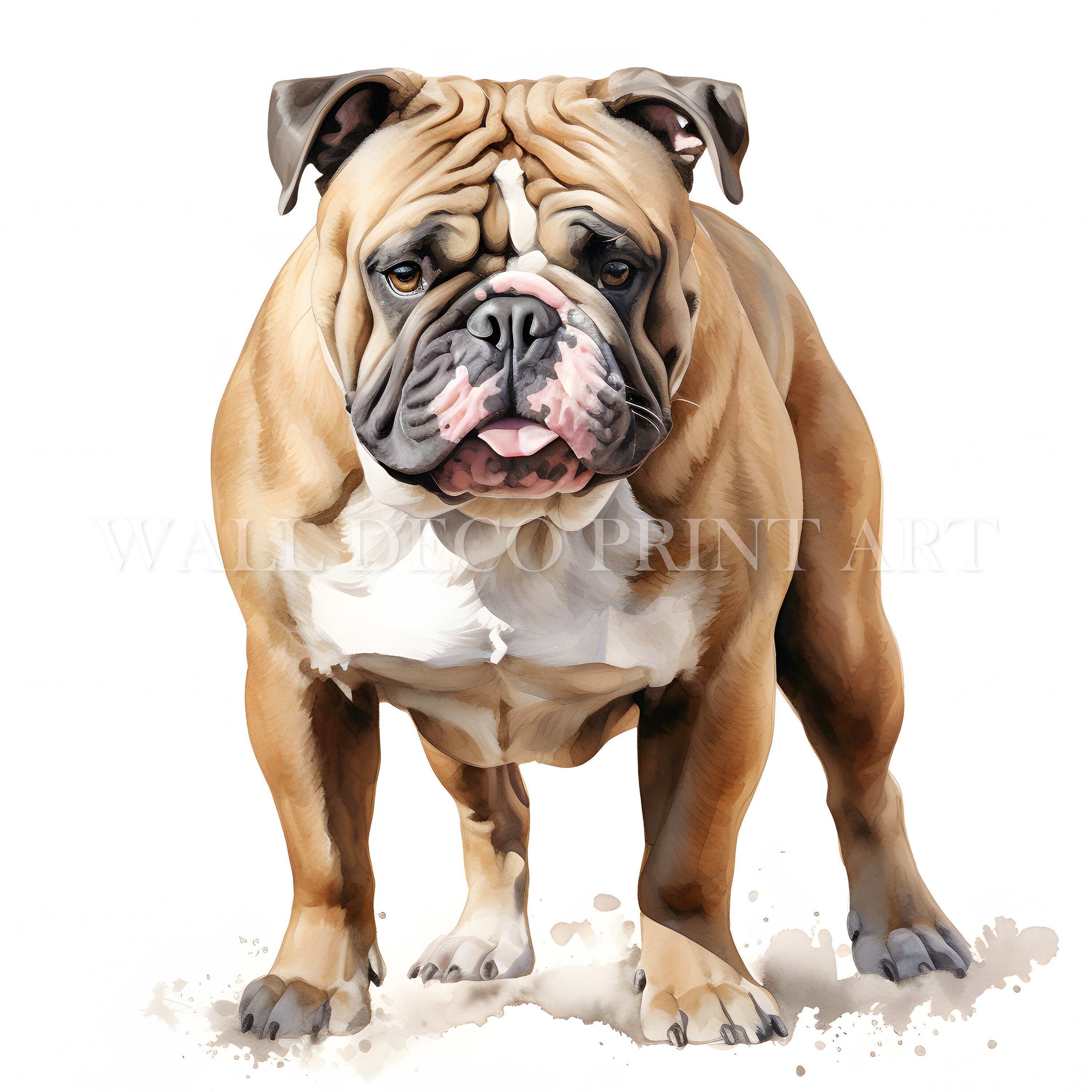 Cute Bulldog Puppy Clipart Bundle 10 High Quality Jpgs - Etsy