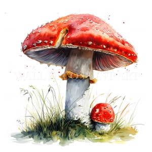 Cute Red Toadstool Clipart Bundle - 10 High Quality Jpgs - Digital ...