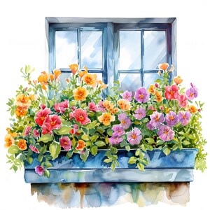 Flowery Window Box 2 Clipart Bundle - 12 High Quality Jpgs - Digital ...