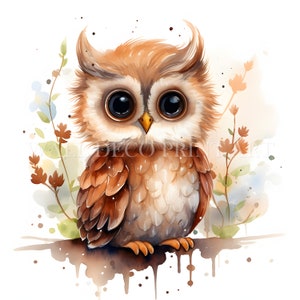 Cute Little Owl Clipart Bundle - 10 High Quality Jpgs - Digital ...