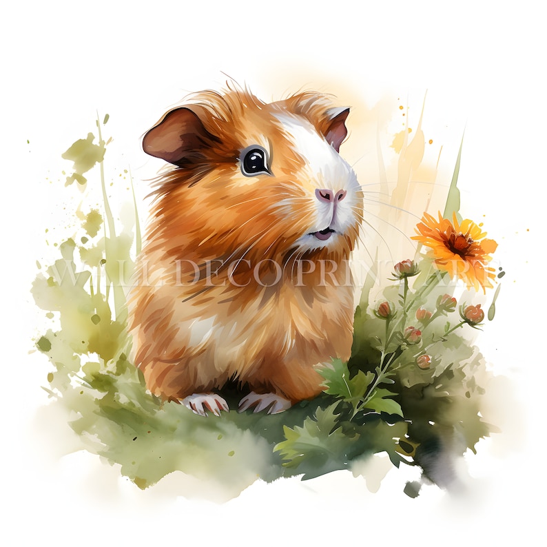 Cute GUINEA PIG Clipart Bundle - 10 High Quality Jpgs - Digital ...