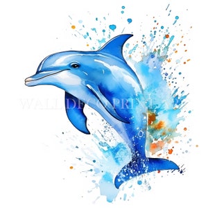 Beautiful Dolphin Clipart Bundle - 10 High Quality Jpgs - Digital ...
