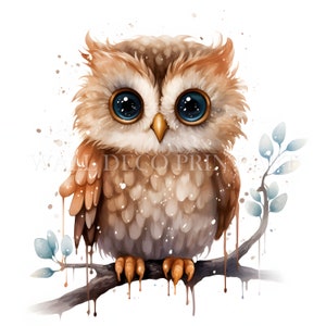 Cute Little Owl Clipart Bundle - 10 High Quality Jpgs - Digital ...