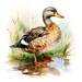 Beautiful DUCK Clipart Bundle 10 High Quality Jpgs Digital Downloads ...