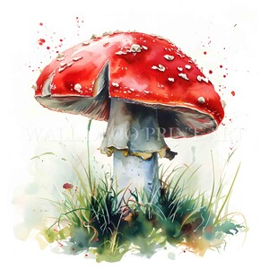 Cute Red Toadstool Clipart Bundle - 10 High Quality Jpgs - Digital ...