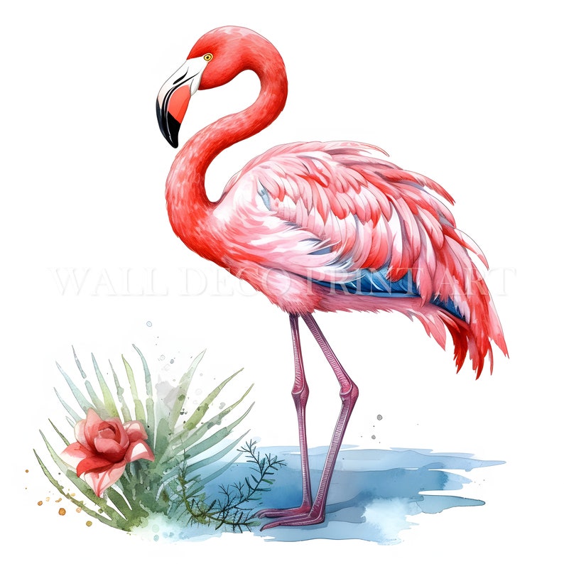 Beautiful Flamingo Clipart Bundle 10 High Quality Jpgs - Etsy