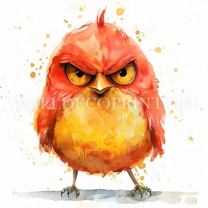 11 Cute Grumpy Bird Clipart Bundle - High Quality Jpgs - Digital ...