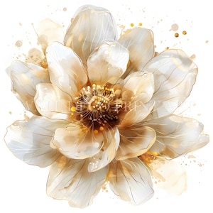 Ivory & Gold Abstract Flowers Clipart Bundle - 10 High Quality Jpgs ...