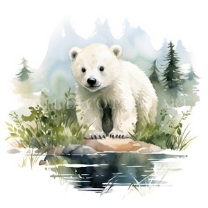 Cute Baby Polar Bear Clipart Bundle - 9 High Quality Jpgs - Digital ...