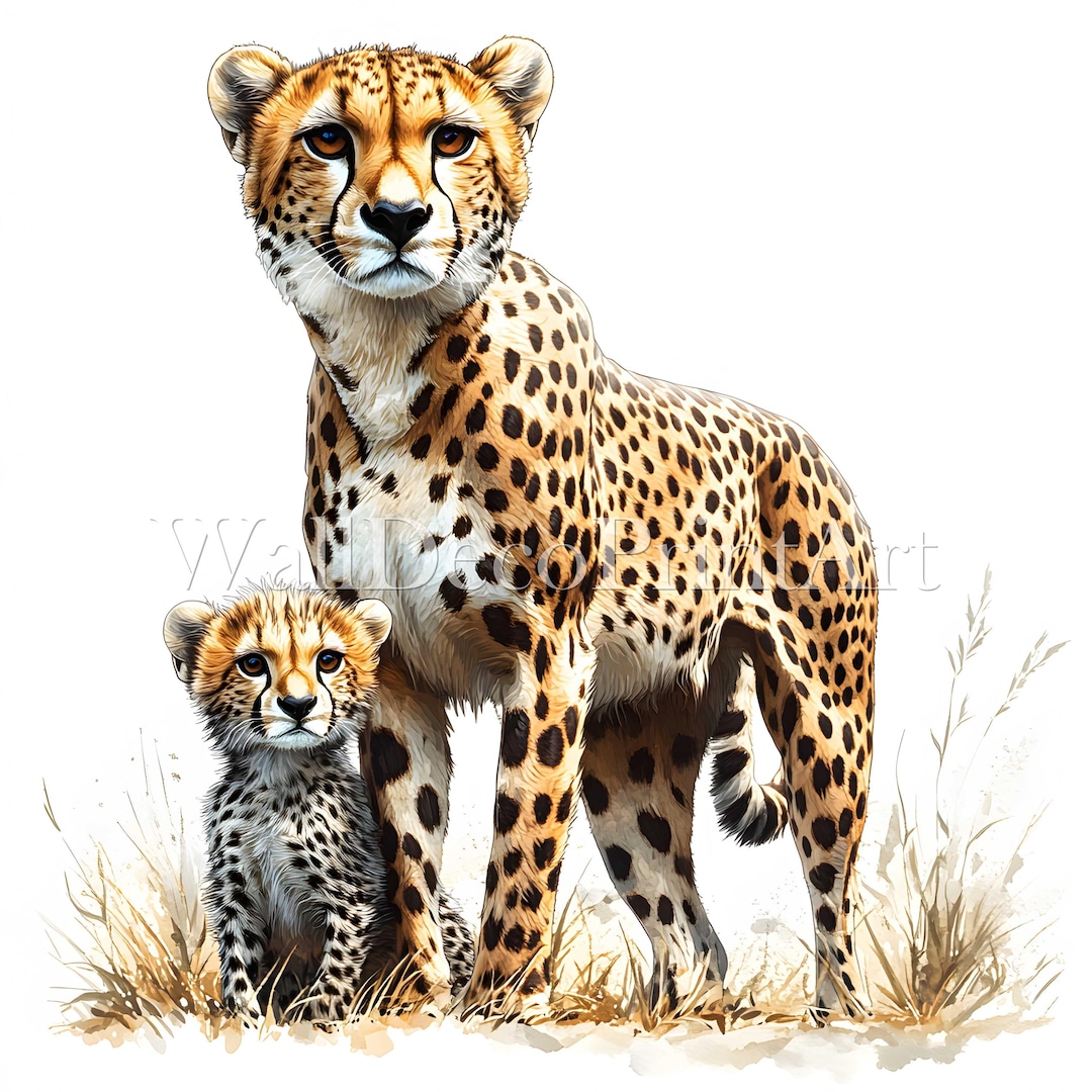 Beautiful Cheetah Clipart Bundle - 10 High Quality JPG - Digital ...