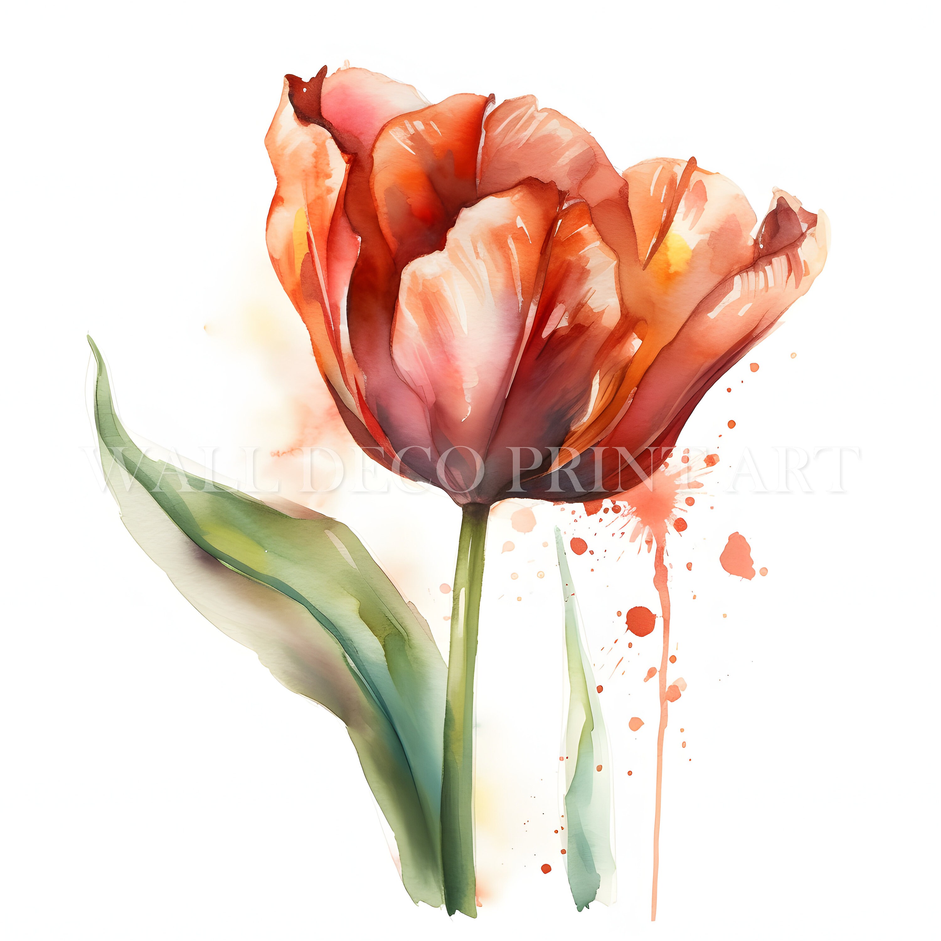 Watercolor Spring Flowers Clipart Tulip 10 High Quality - Etsy
