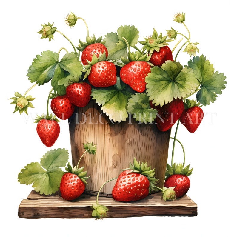 Strawberry Plants Clipart Bundle 10 High Quality Jpgs - Etsy