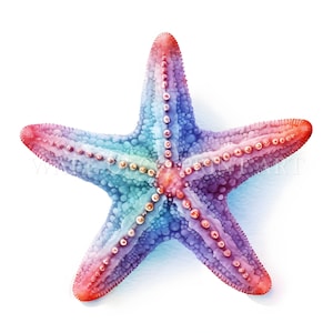 Beautiful STARFISH Clipart Bundle - 10 High Quality Jpgs - Digital ...