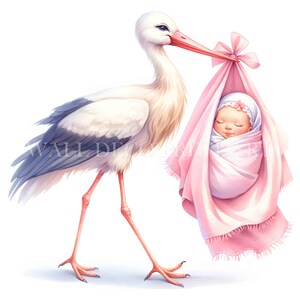Baby Girl and Stork Clipart Bundle - 10 High Quality Jpgs - Digital ...