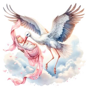 Baby Girl and Stork Clipart Bundle - 10 High Quality Jpgs - Digital ...