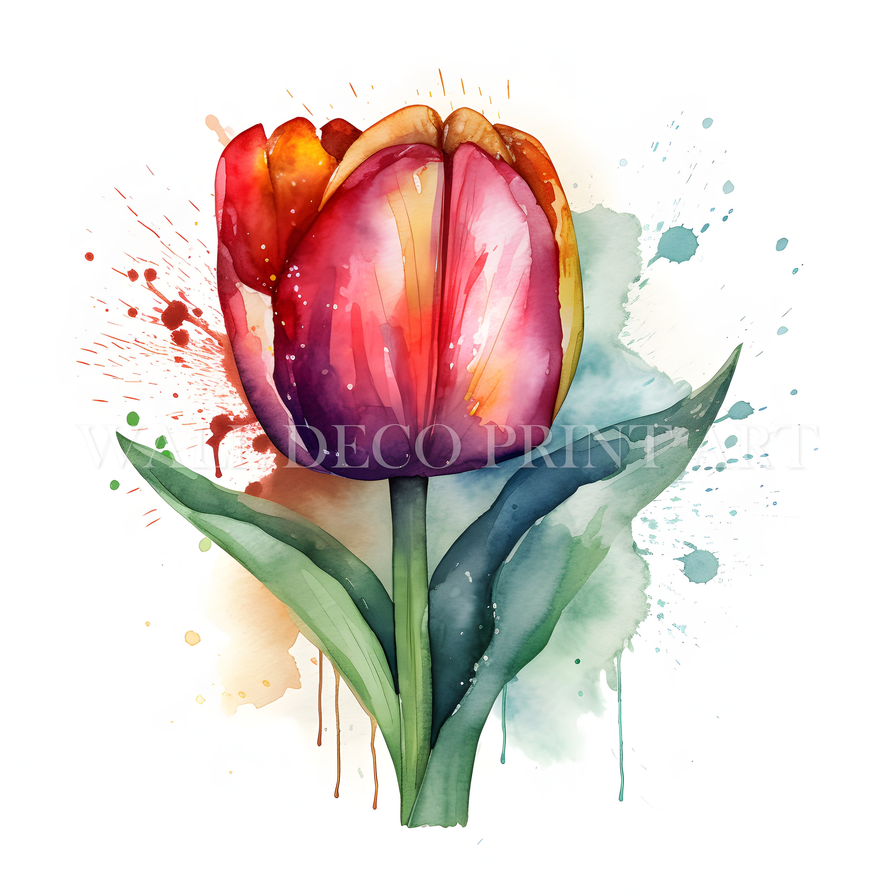 Watercolor Spring Flowers Clipart Tulip 10 High Quality - Etsy