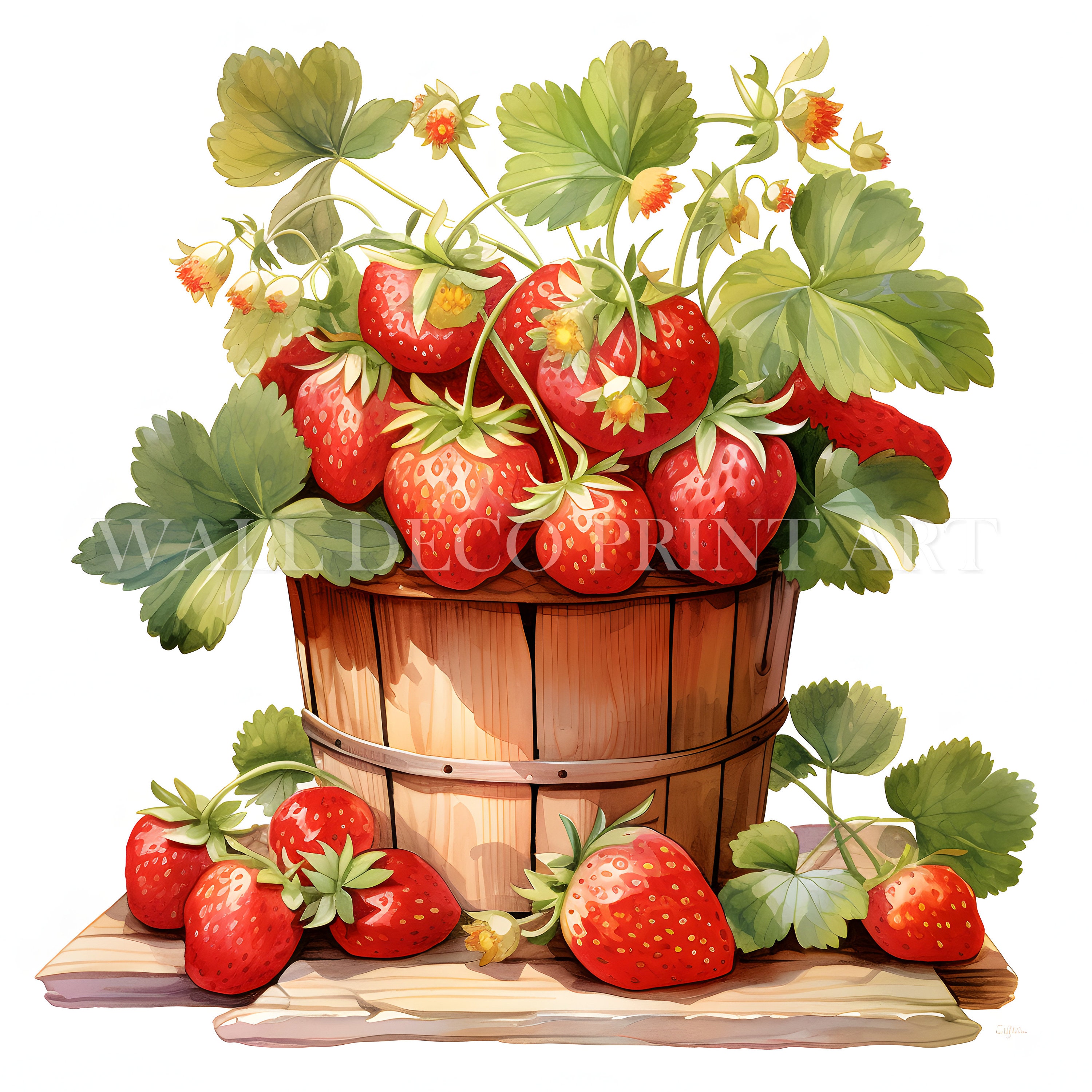 Strawberry Plants Clipart Bundle 10 High Quality Jpgs - Etsy