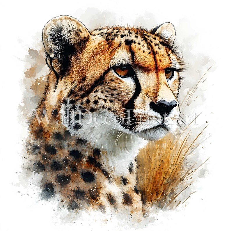 Beautiful Cheetah Clipart Bundle - 10 High Quality JPG - Digital ...