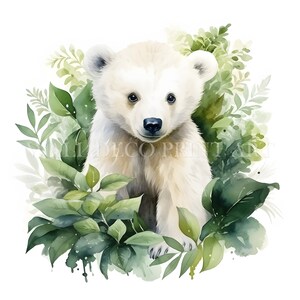 Cute Baby Polar Bear Clipart Bundle - 9 High Quality Jpgs - Digital ...