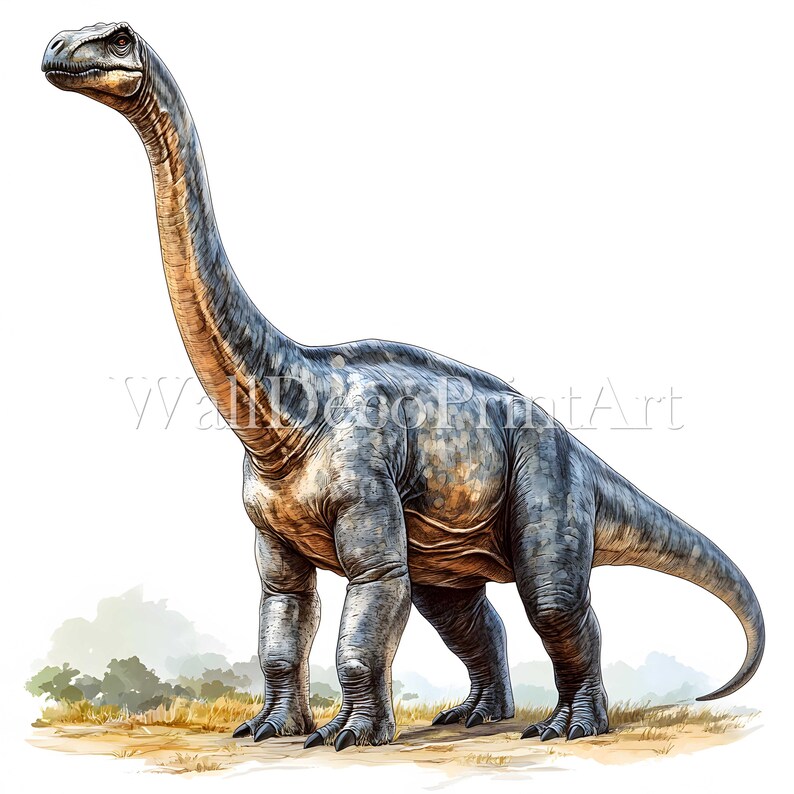 8 Brachiosaurus Dinosaur Clipart Bundle - High Quality Jpgs - Digital ...