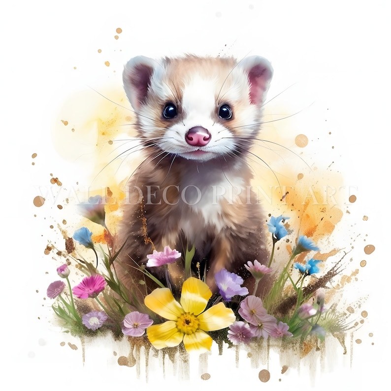 Beautiful FERRET Clipart Bundle - 10 High Quality Jpgs - Digital ...