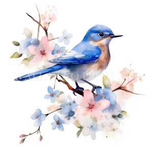 Blue Bird With Flower Clipart Bundle - 11 High Quality Jpgs - Digital ...