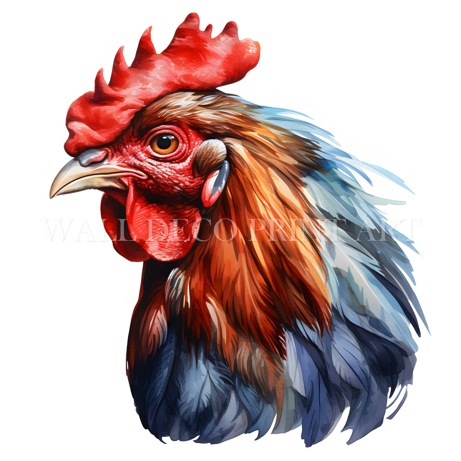 Beautiful COCKEREL Clipart Bundle 10 High Quality Jpgs - Etsy