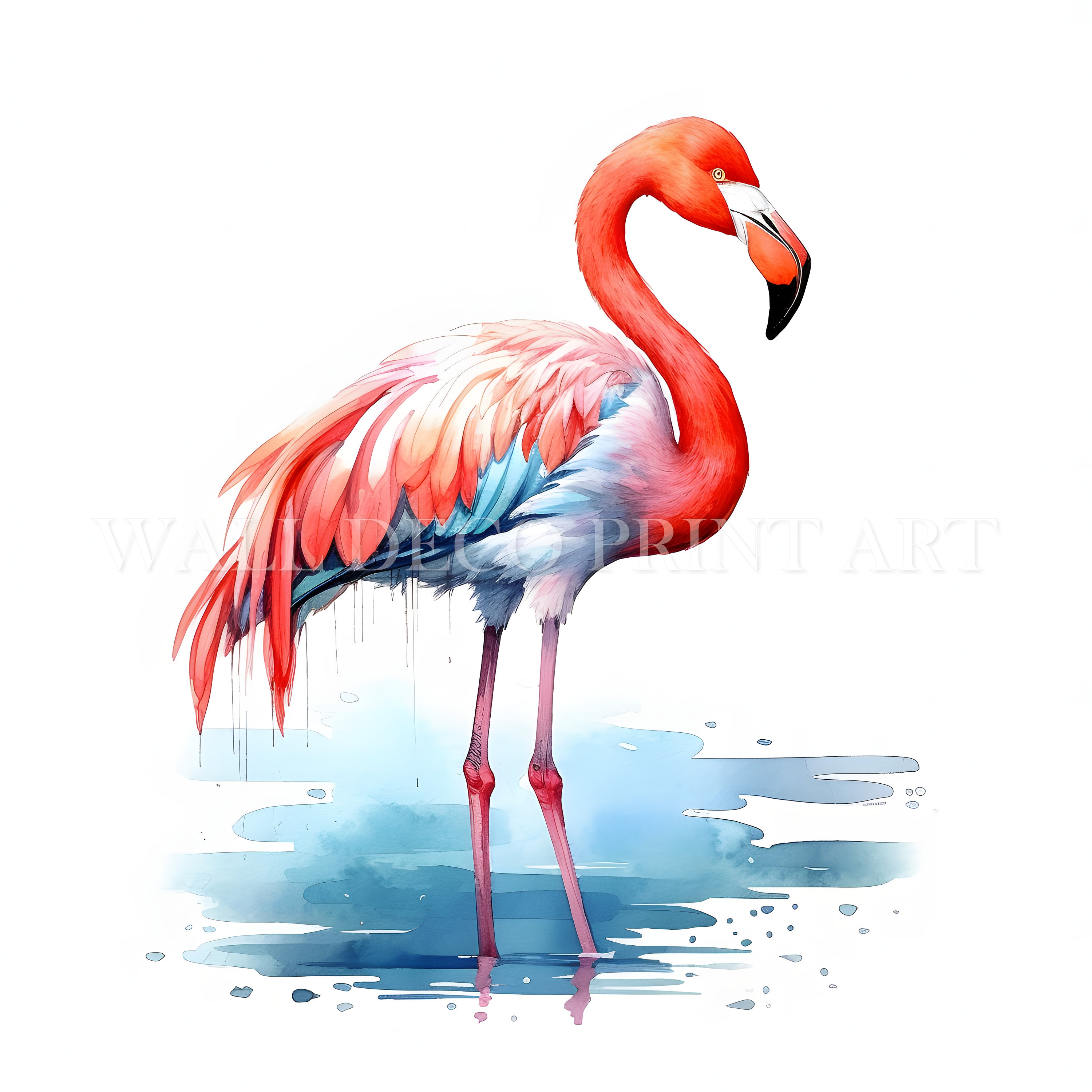 Beautiful Flamingo Clipart Bundle 10 High Quality Jpgs - Etsy