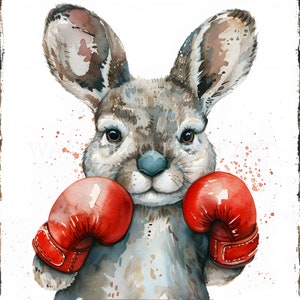 Boxing Kangaroo Clipart Bundle - 10 High Quality Jpgs - Digital ...