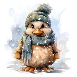 Cute Winter Duck Clipart Bundle - 10 High Quality Jpgs - Digital ...