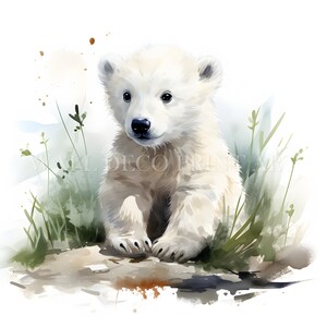 Cute Baby Polar Bear Clipart Bundle - 9 High Quality Jpgs - Digital ...