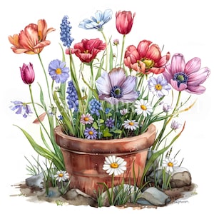10 Wildflowers in a Pot Clipart Bundle - High Quality Jpgs - Digital ...
