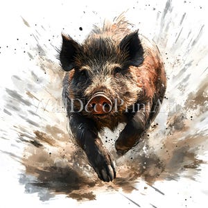 12 Wild Boar Clipart Bundle - High Quality Jpgs - Digital Download ...