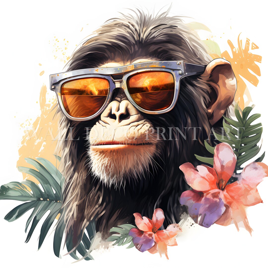 Cool and Cute Monkey Clipart Bundle - 9 High Quality Jpgs - Digital ...