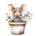 Cute MOUSE in a Pot Clipart Bundle - 10 High Quality Jpgs - Digital ...