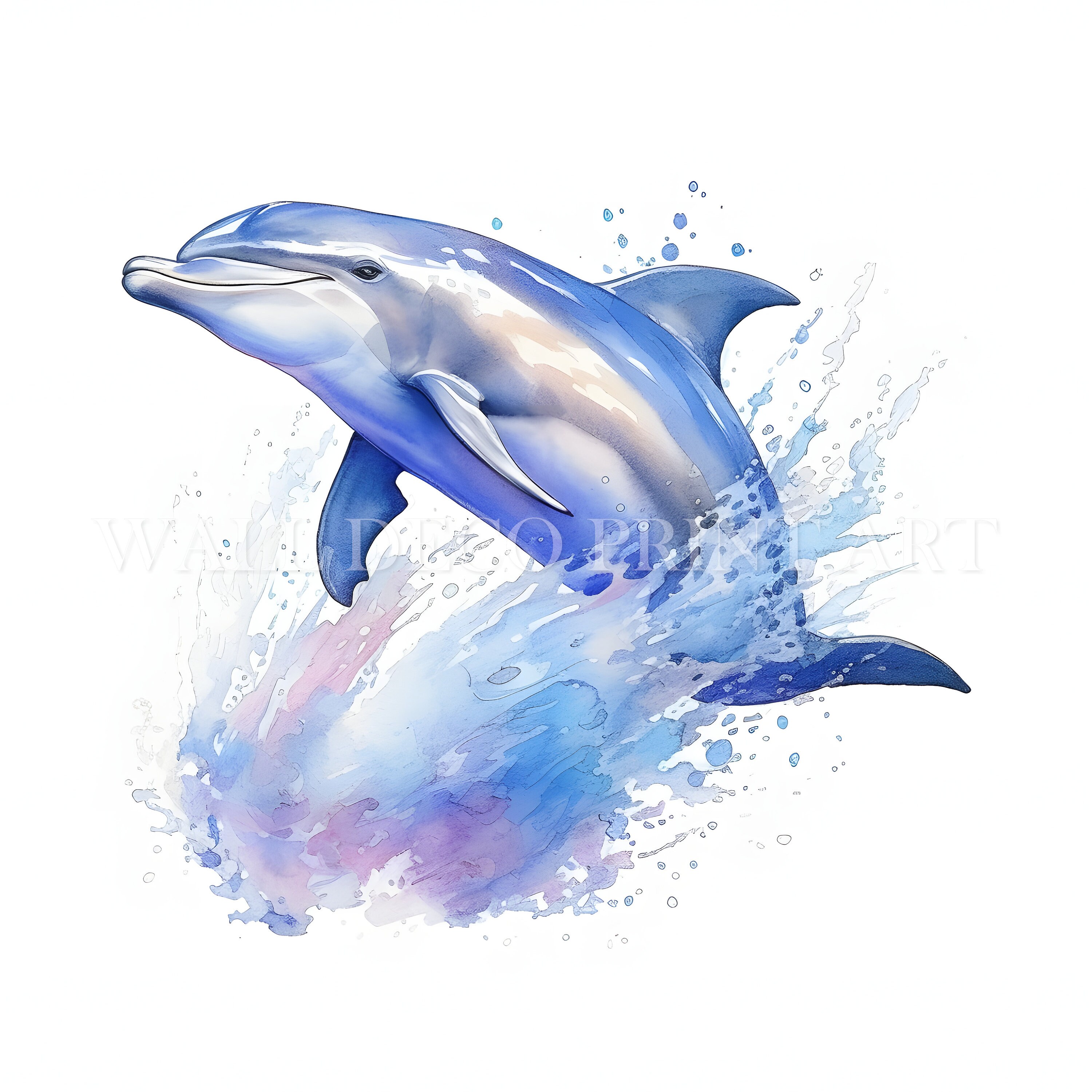 Beautiful Dolphin Clipart Bundle 10 High Quality Jpgs - Etsy