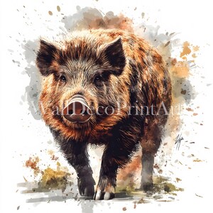 12 Wild Boar Clipart Bundle - High Quality Jpgs - Digital Download ...