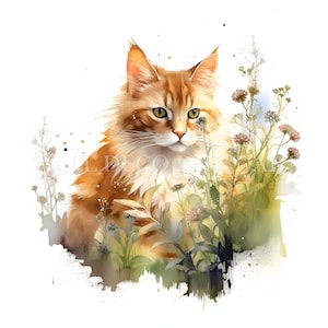 Beautiful CAT Clipart Bundle - 10 High Quality Jpgs - Digital Downloads ...