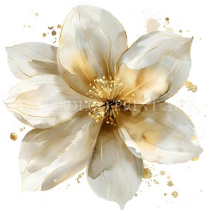Ivory & Gold Abstract Flowers Clipart Bundle - 10 High Quality Jpgs ...