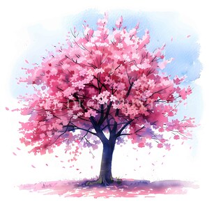 Lovely Cherry Blossom Trees Clipart Bundle - 10 High Quality Jpgs ...