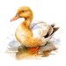 Beautiful DUCK Clipart Bundle 10 High Quality Jpgs Digital Downloads ...