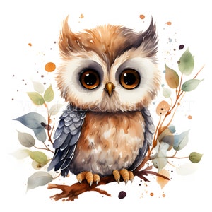 Cute Little Owl Clipart Bundle - 10 High Quality Jpgs - Digital ...