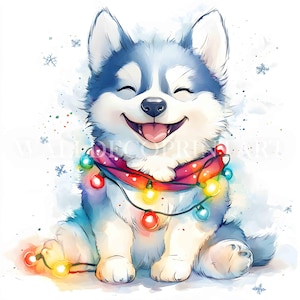 Christmas Husky Dog Lights Clipart Bundle - 10 High Quality JPG ...