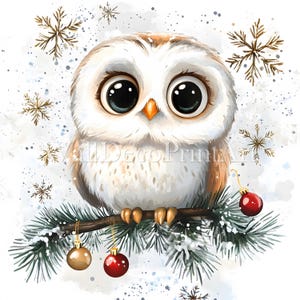 10 Cute Christmas Owl Clipart Bundle - High Quality JPG - Digital ...