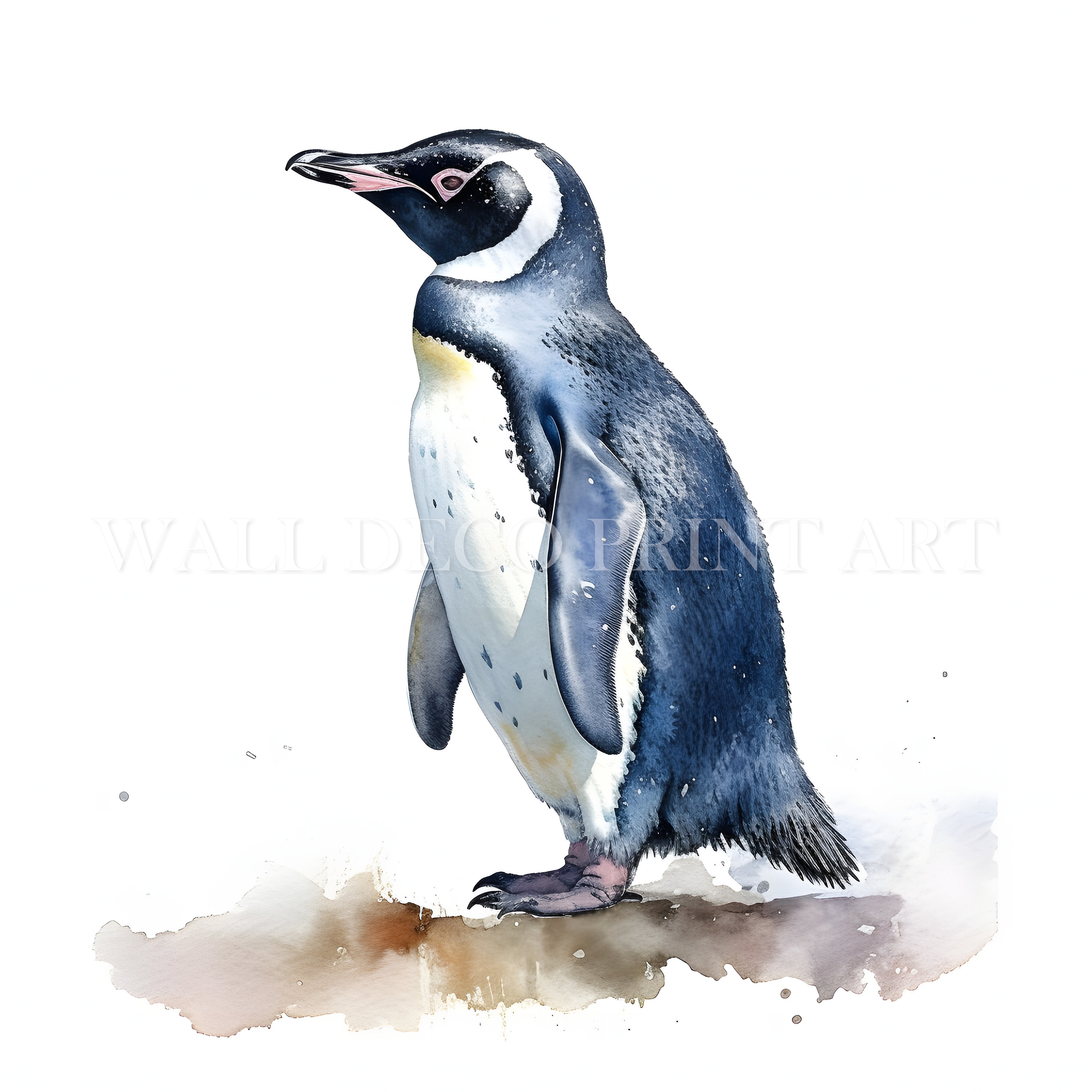 Cute Penguin Clipart Bundle 9 High Quality Jpgs Digital - Etsy