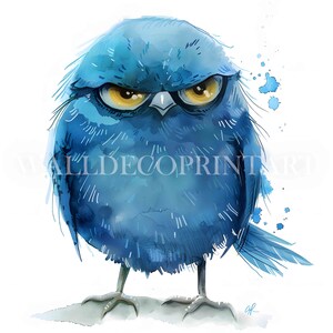 11 Cute Grumpy Bird Clipart Bundle - High Quality Jpgs - Digital ...