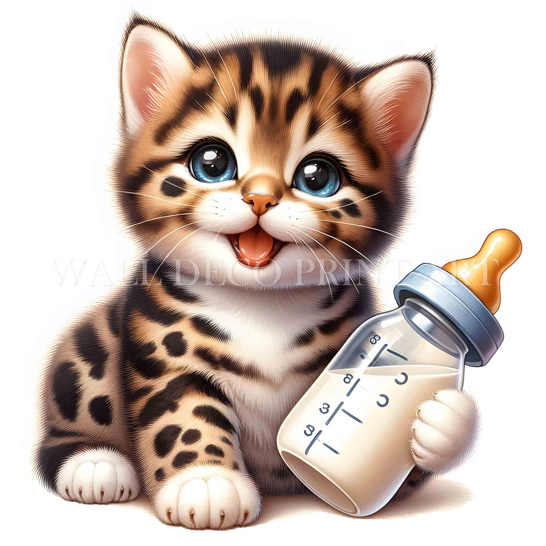 Baby Kitten and Bottle Clipart Bundle - 11 High Quality JPG - Digital ...