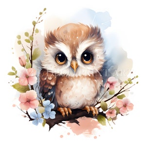 Cute Little Owl Clipart Bundle 10 High Quality Jpgs Digital Downloads ...