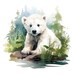 Cute Baby Polar Bear Clipart Bundle - 9 High Quality Jpgs - Digital ...