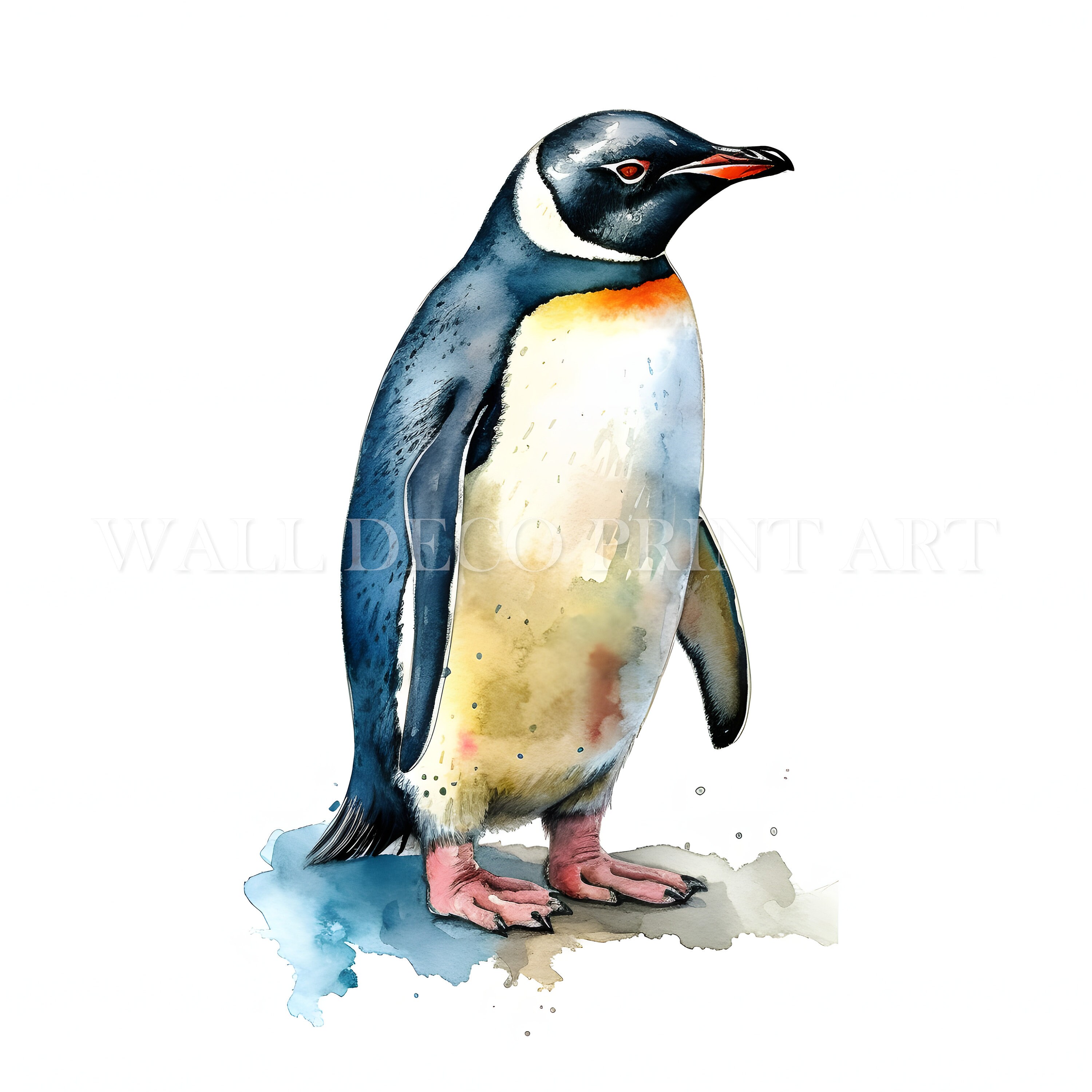 Cute Penguin Clipart Bundle 9 High Quality Jpgs Digital - Etsy